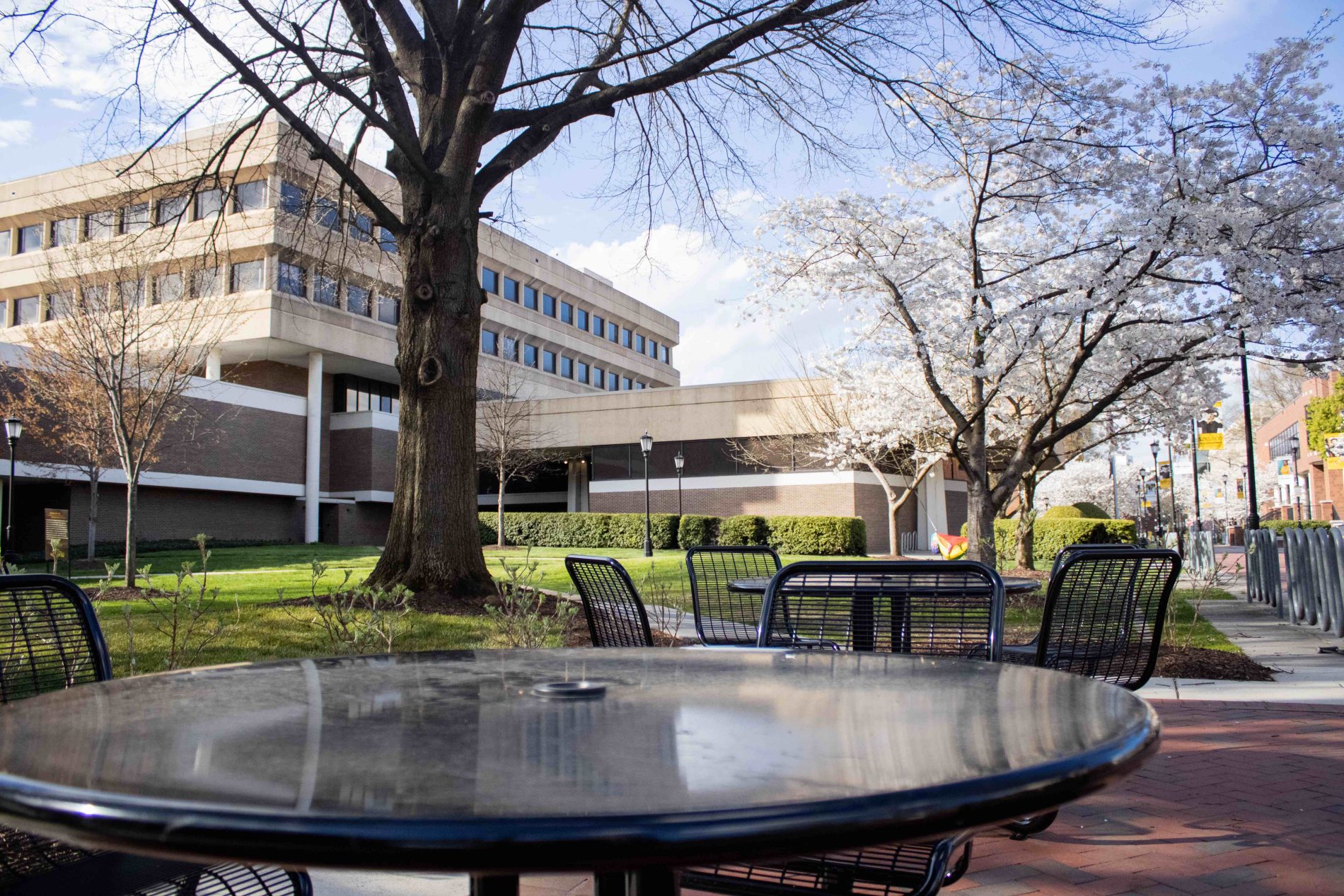 VCU ‘exploring’ optional pass/fail grading system as student support grows
